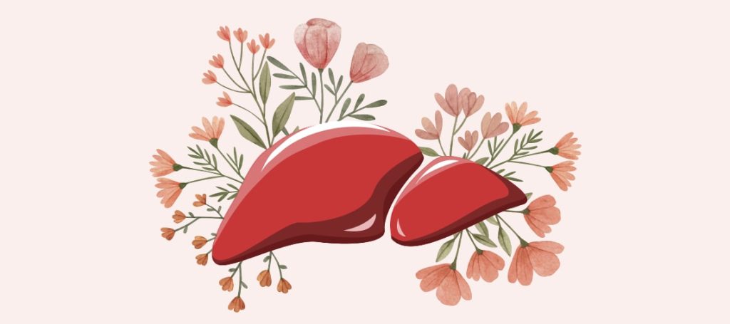 Ficatul gras sau steatoza hepatică: cauze, investigații, regim ...